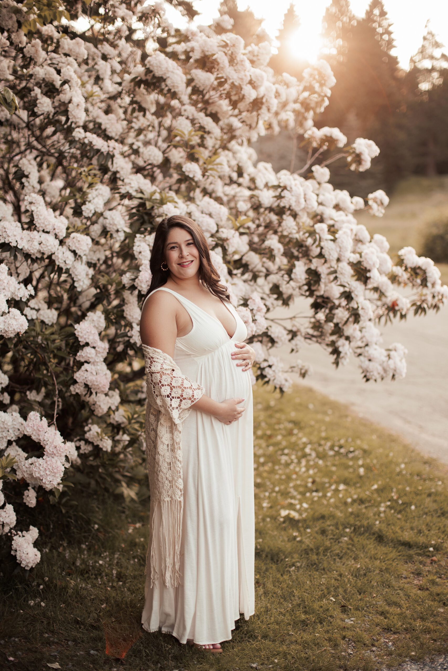 Boston Maternity Photographer - Whitney O'Brien Photography